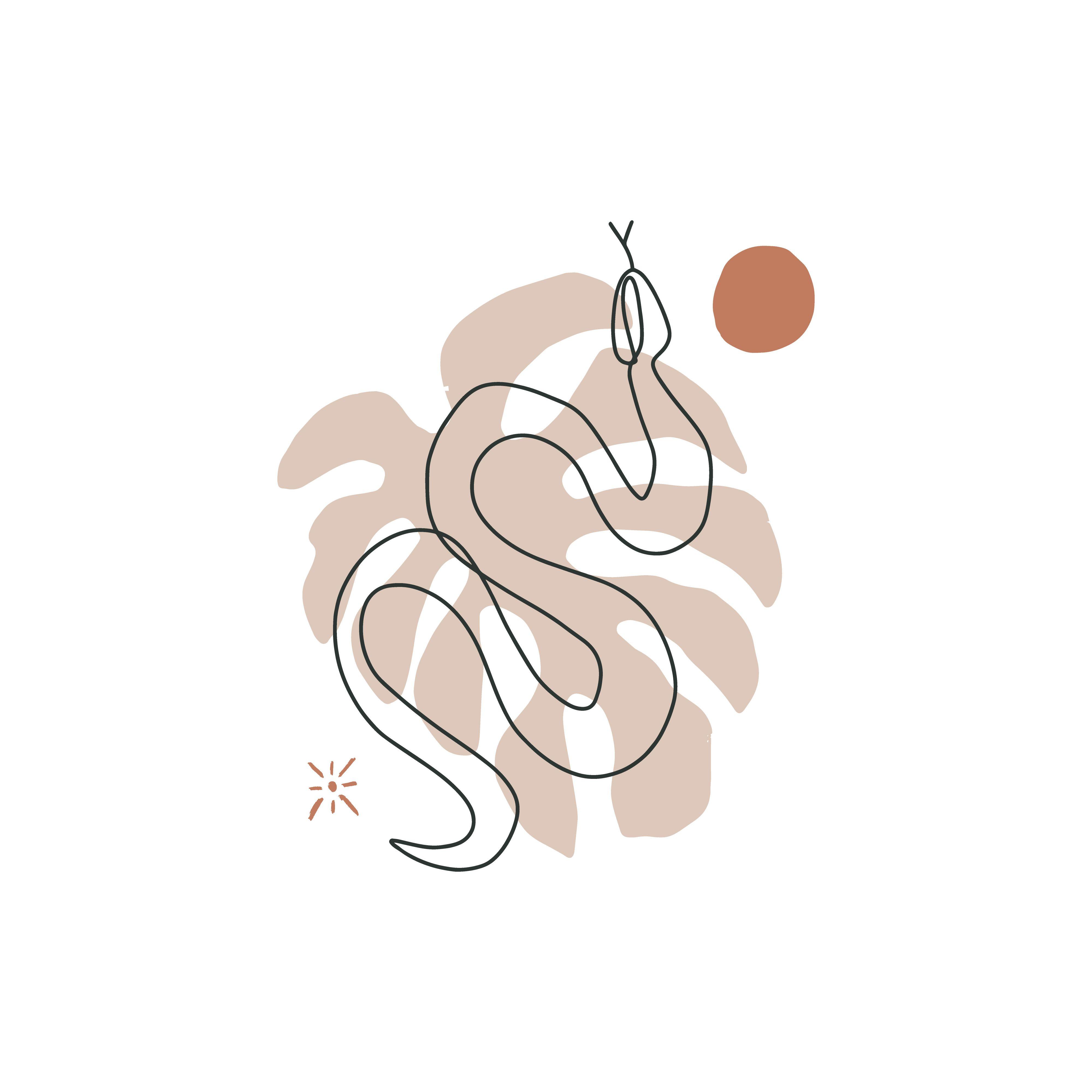 Minimalist Snake Wallpapers - Top Free Minimalist Snake Backgrounds ...