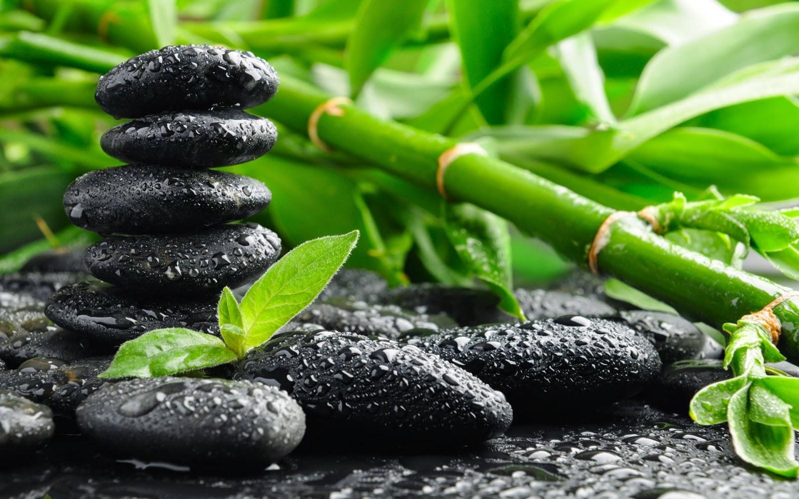 Bamboo Stone Wallpapers - Top Free Bamboo Stone Backgrounds ...