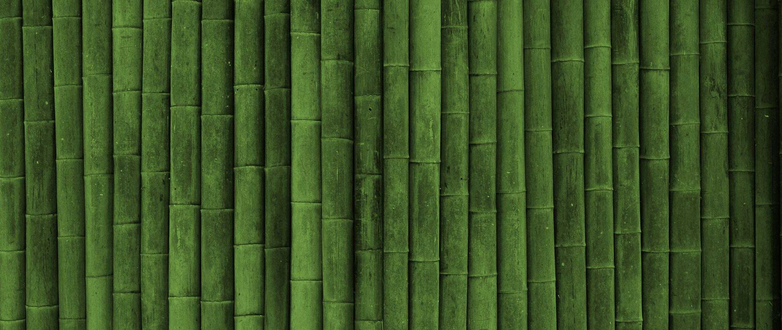Bamboo Stone Wallpapers - Top Free Bamboo Stone Backgrounds ...