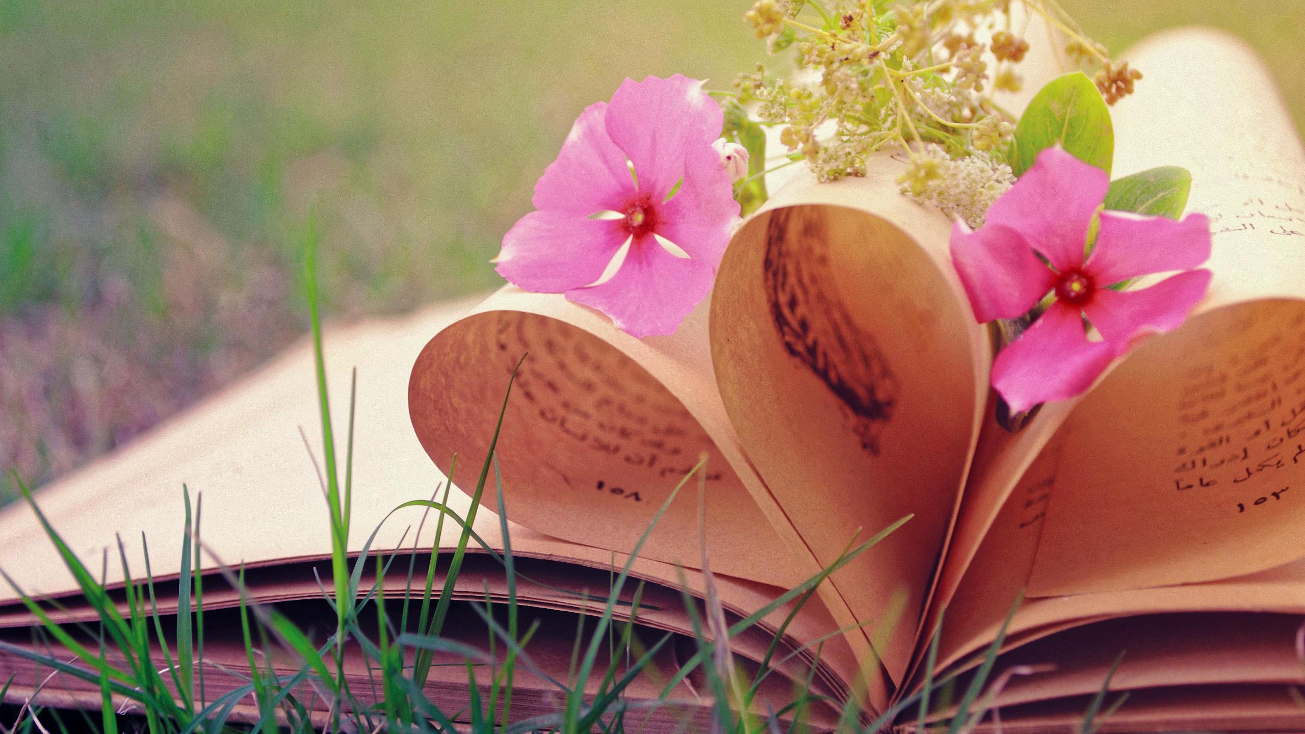Flowers and Books Wallpapers - Top Free Flowers and Books Backgrounds ...