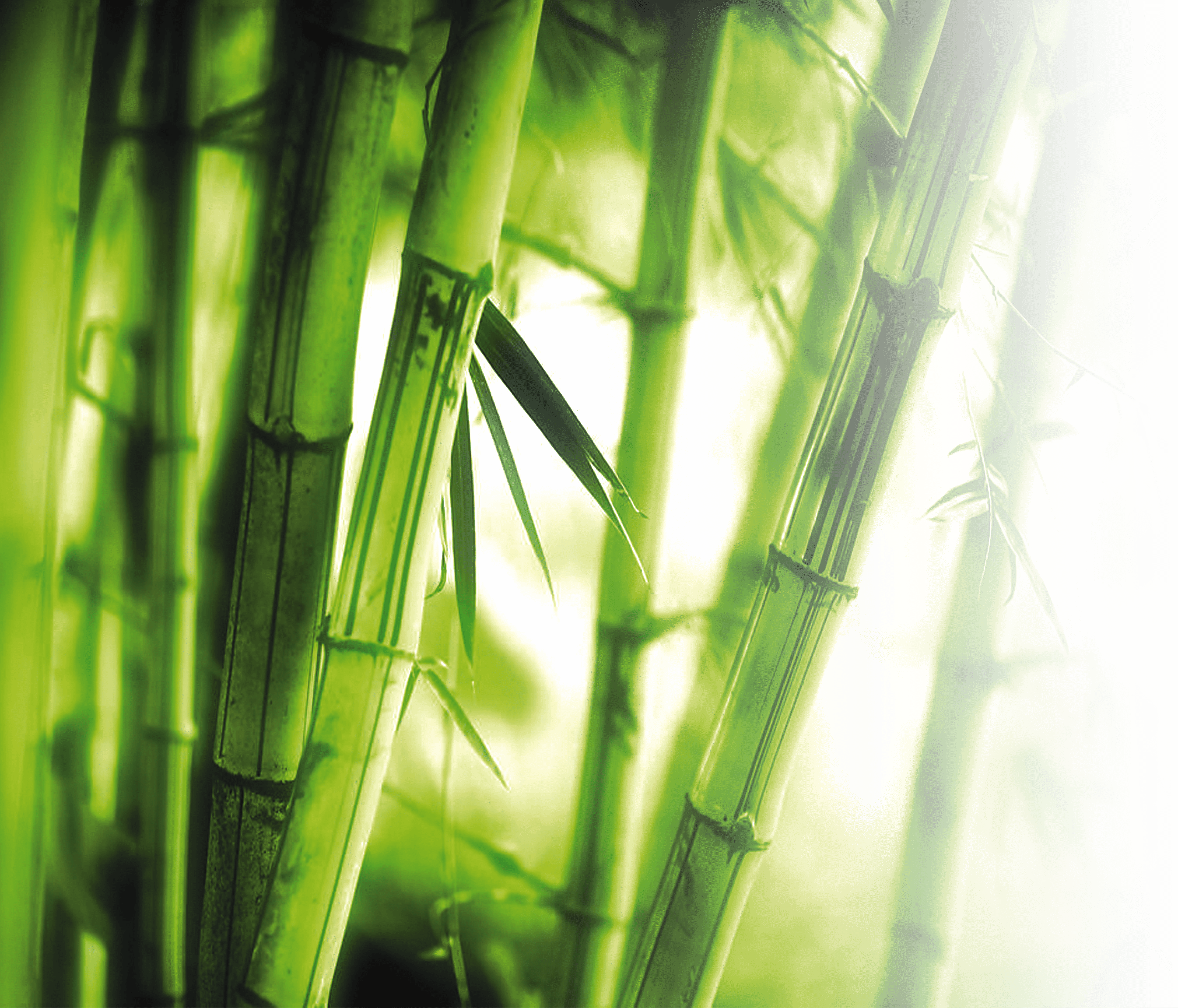 Bamboo Stone Wallpapers - Top Free Bamboo Stone Backgrounds ...