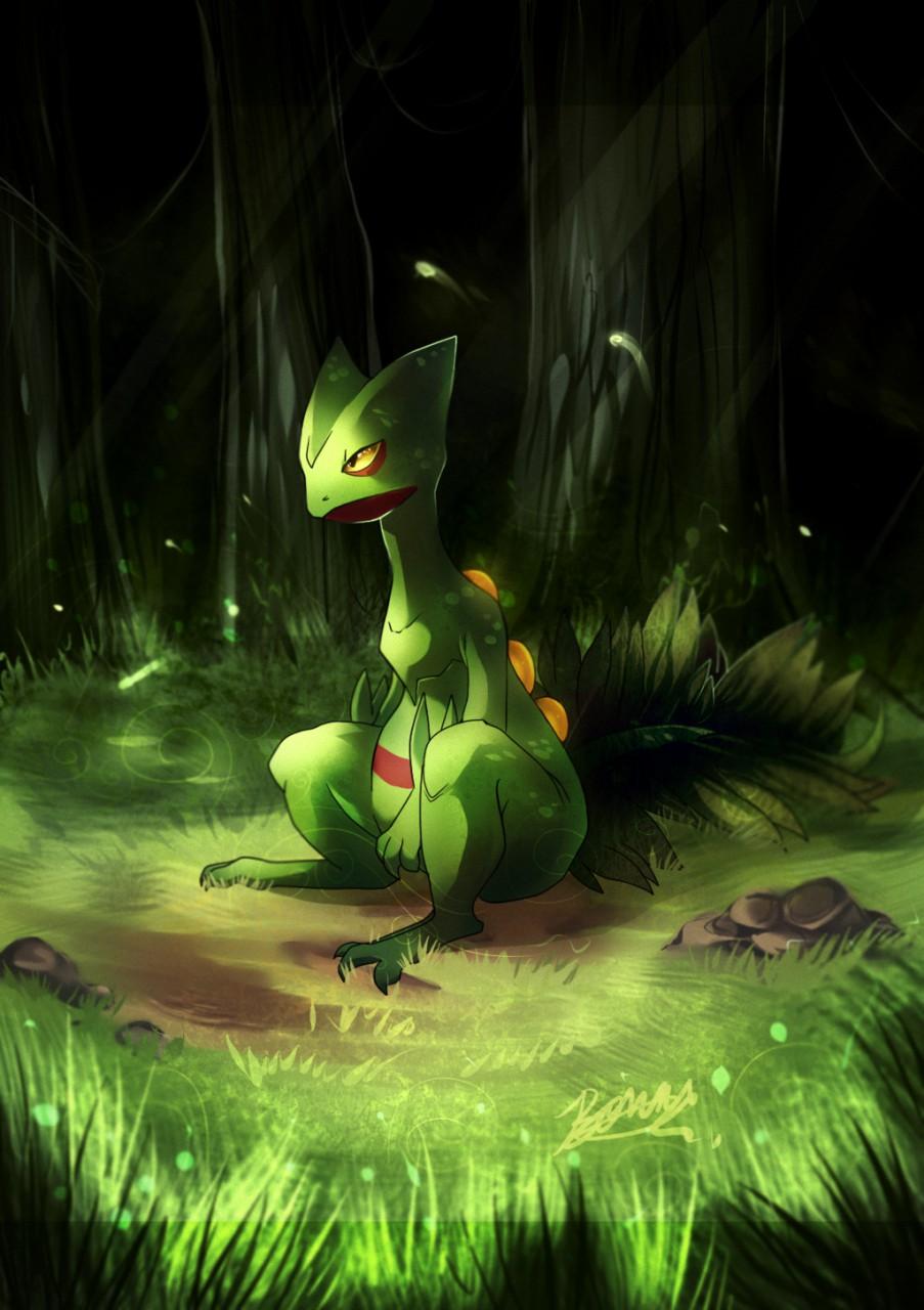 Pokemon Sceptile Wallpapers - Top Free Pokemon Sceptile Backgrounds ...