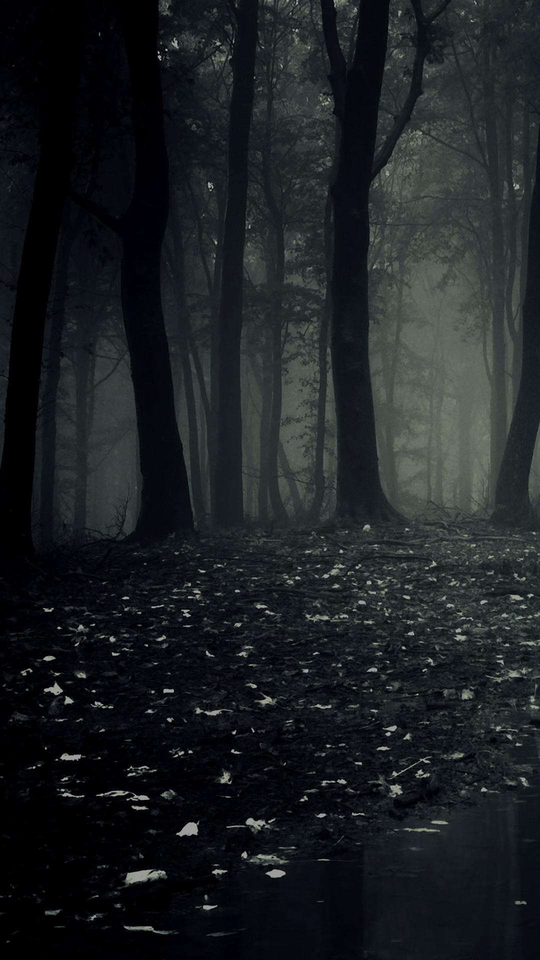Horror Forest Wallpapers - Top Free Horror Forest Backgrounds ...