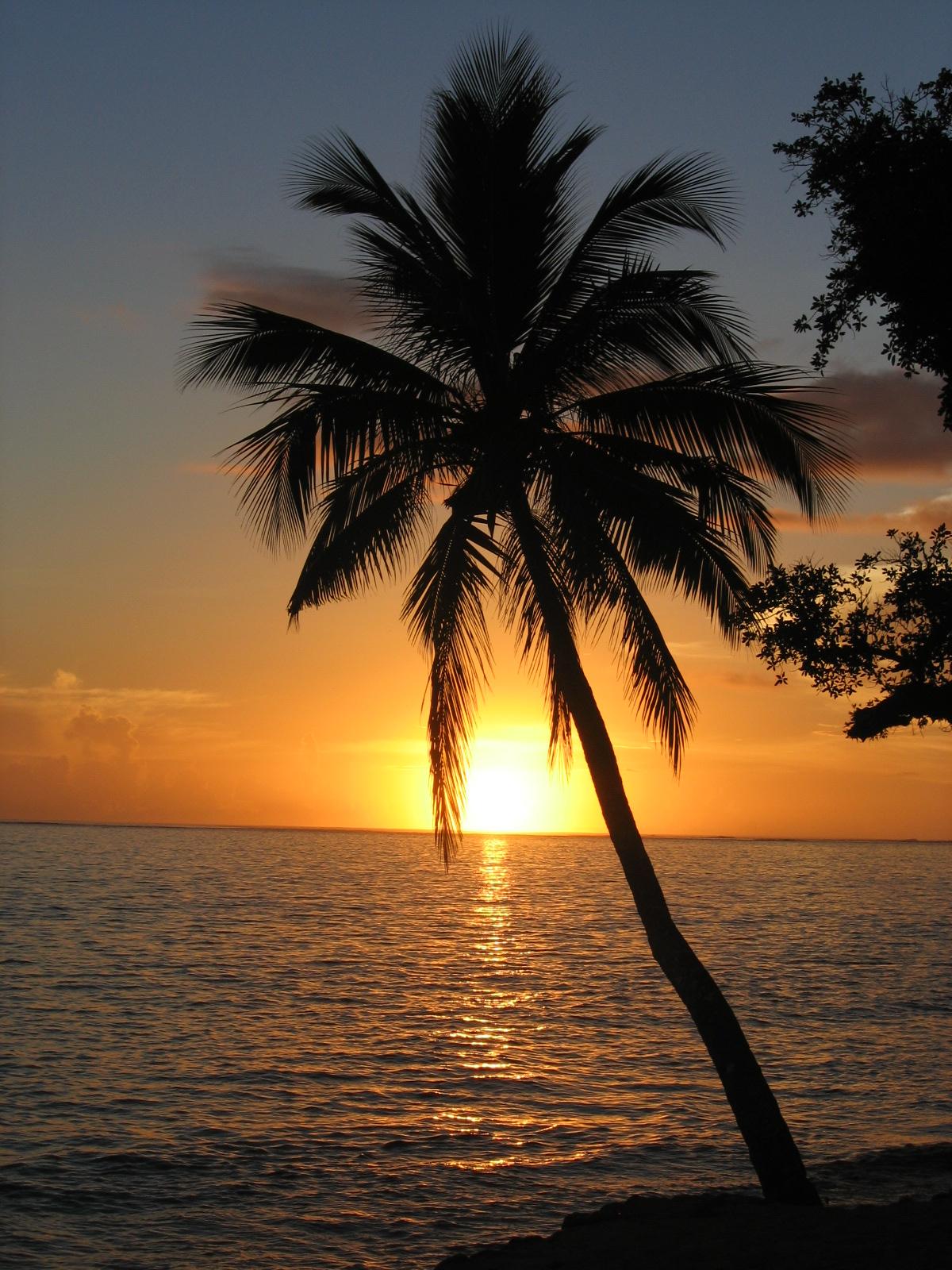 Caribbean Beach Sunset Wallpapers - Top Free Caribbean Beach Sunset ...