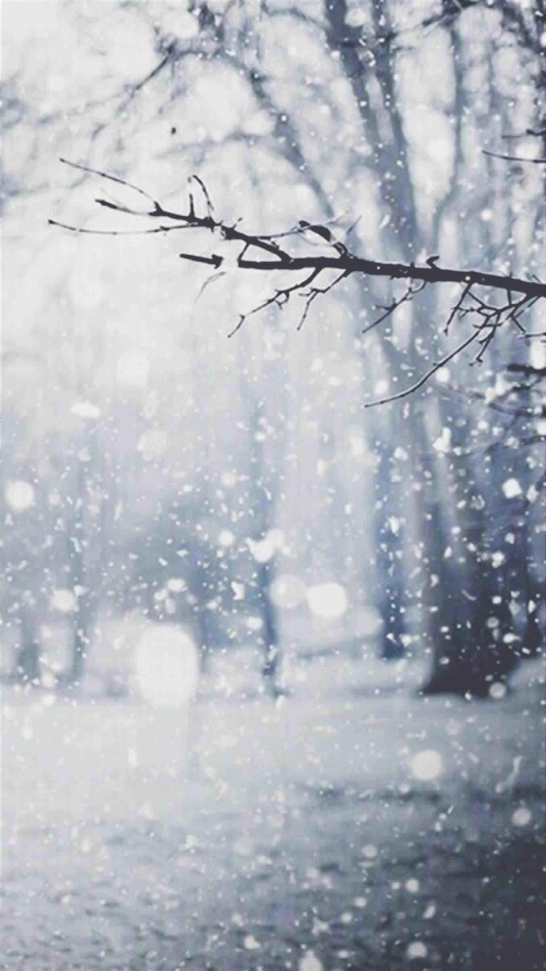 Pretty Winter Wallpapers - Top Free Pretty Winter Backgrounds ...