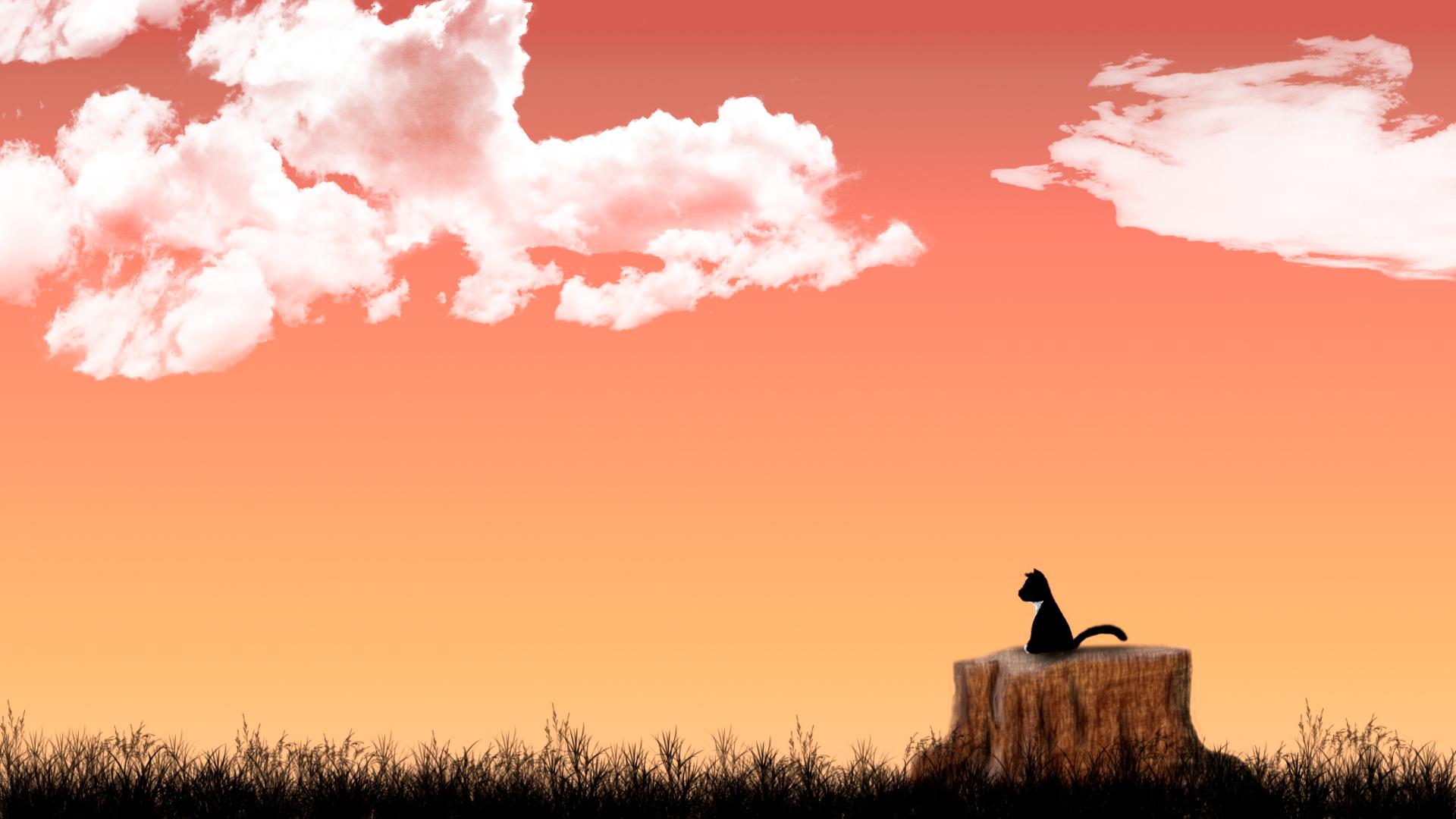 Simple Cat Wallpapers - Top Free Simple Cat Backgrounds - WallpaperAccess