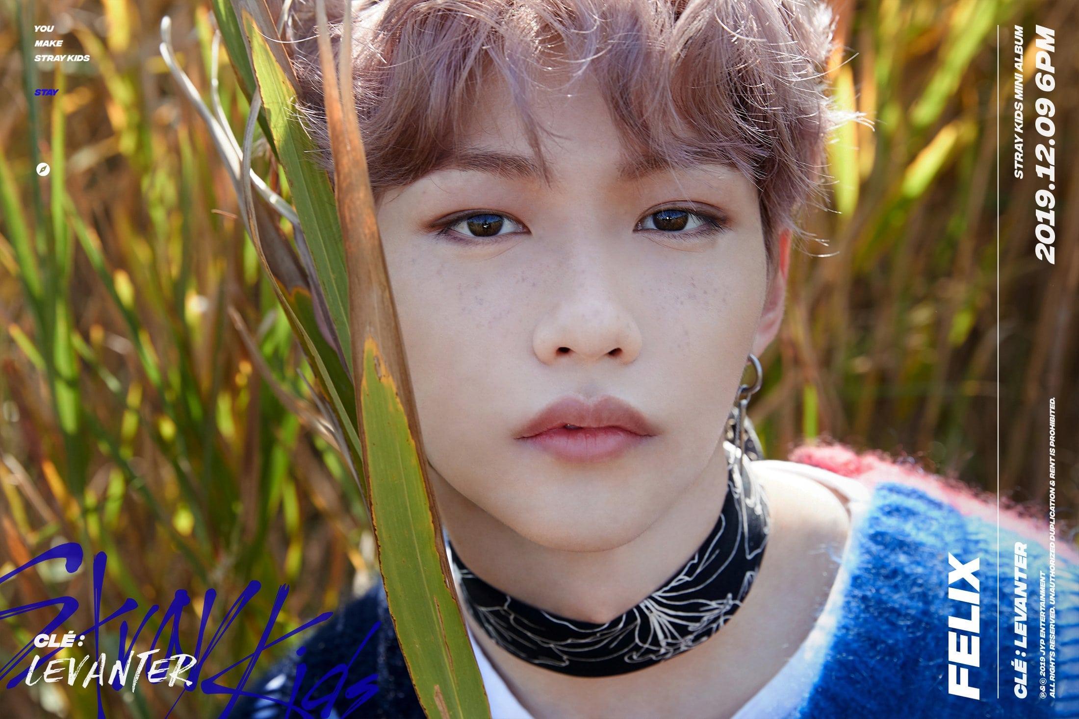 Stray Kids Levanter Wallpapers - Top Free Stray Kids Levanter ...