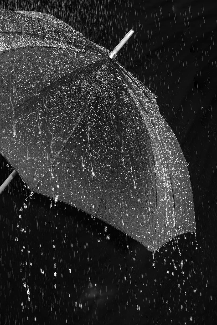 Rainy Umbrella Wallpapers - Top Free Rainy Umbrella Backgrounds ...