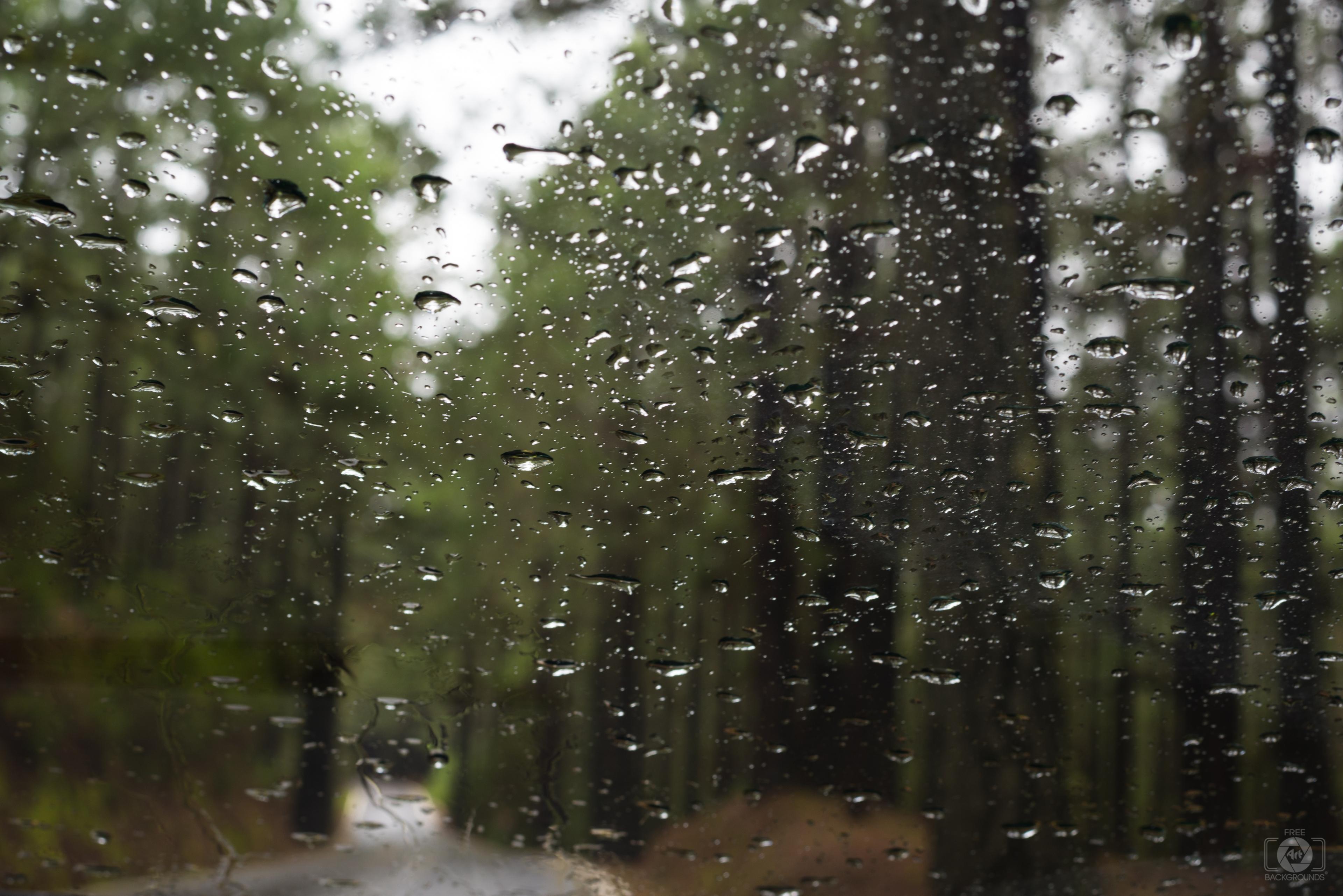 Forest Rain Cute Wallpapers - Top Free Forest Rain Cute Backgrounds ...