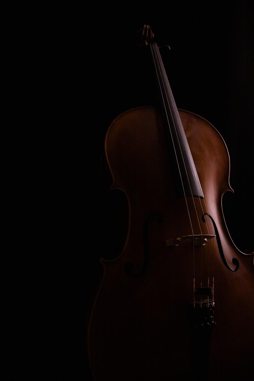 Beautiful Violin Wallpapers - Top Free Beautiful Violin Backgrounds ...