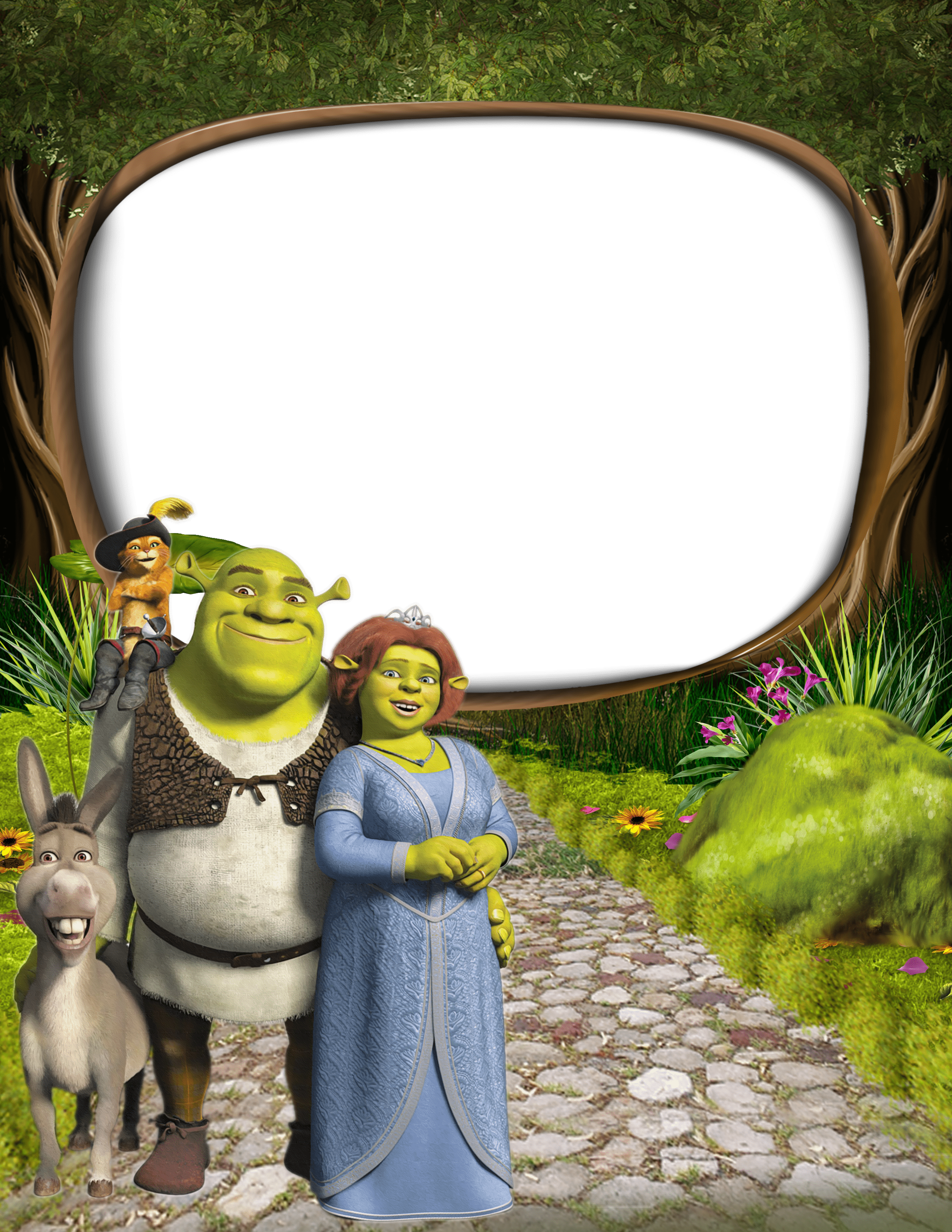 Princess Fiona Wallpapers - Top Free Princess Fiona Backgrounds ...