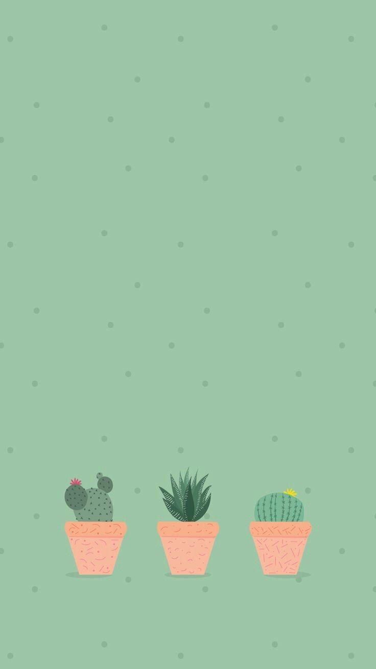 Pastel Cactus Wallpapers - Top Free Pastel Cactus Backgrounds ...