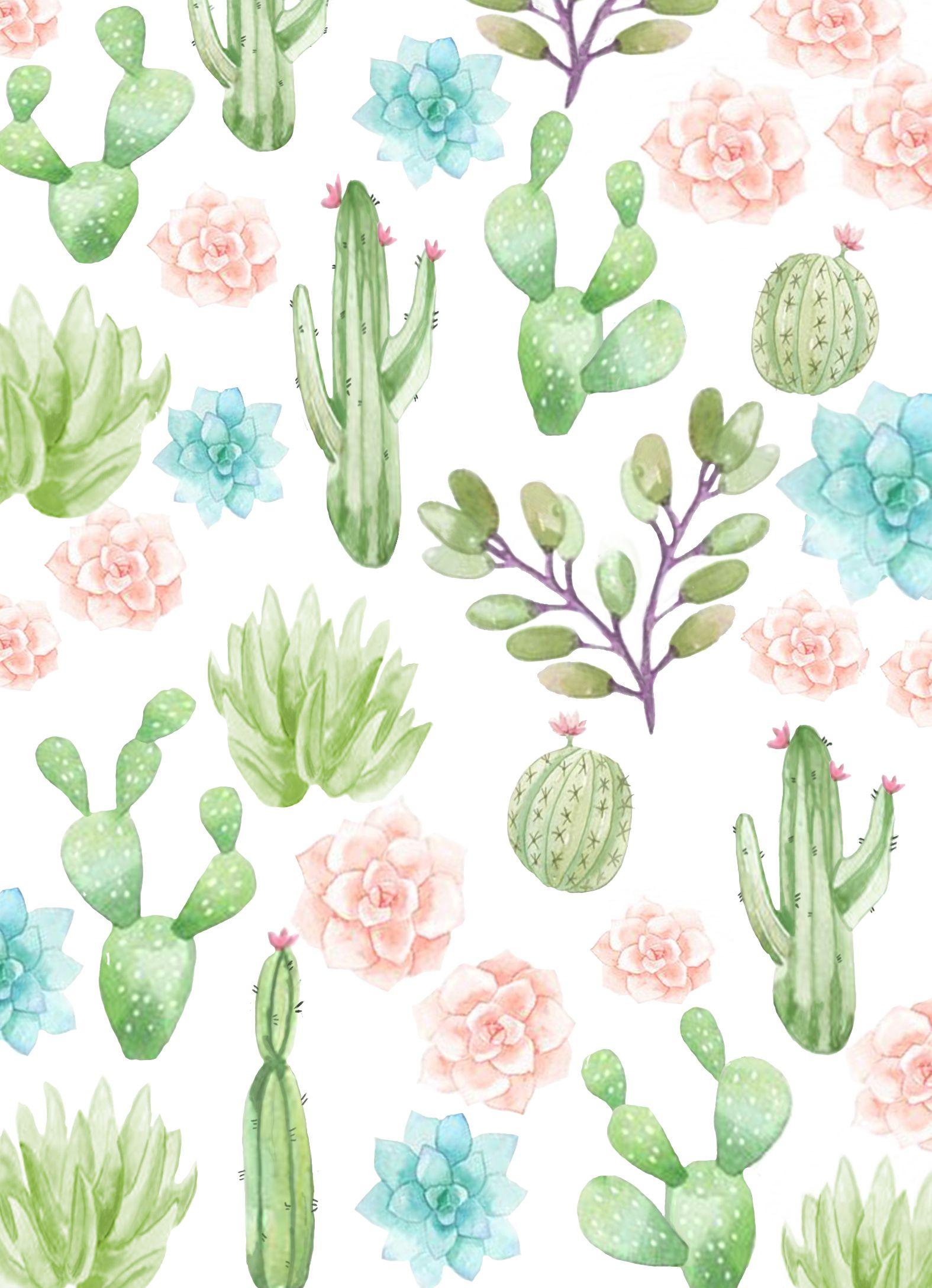 Pastel Cactus Wallpapers - Top Free Pastel Cactus Backgrounds ...