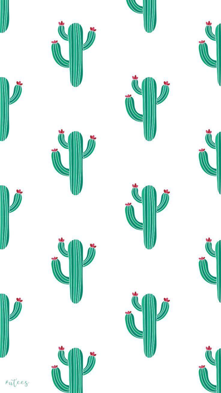 Pastel Cactus Wallpapers - Top Free Pastel Cactus Backgrounds ...