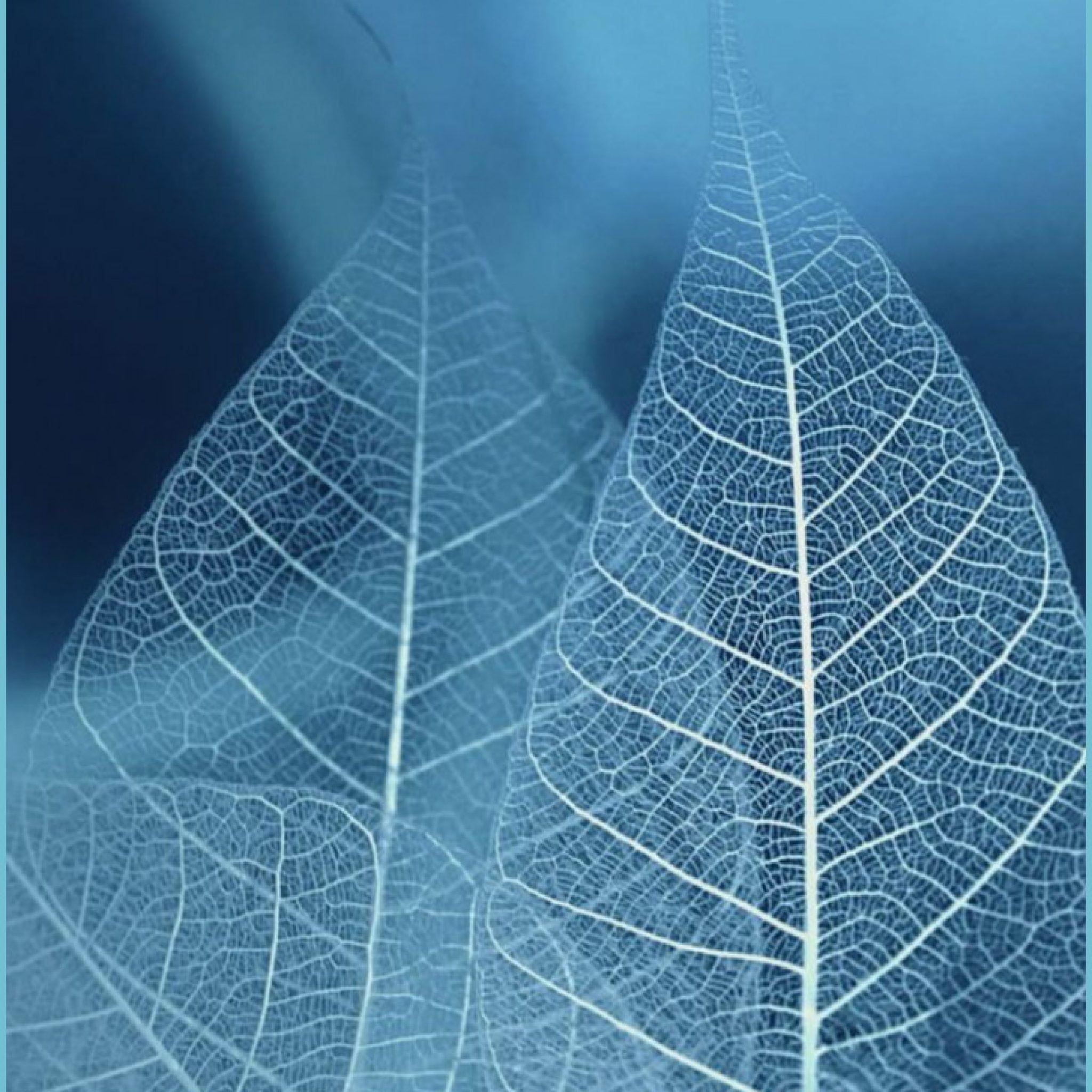 Pastel Leaves Wallpaper at Martha Gonsalez blog