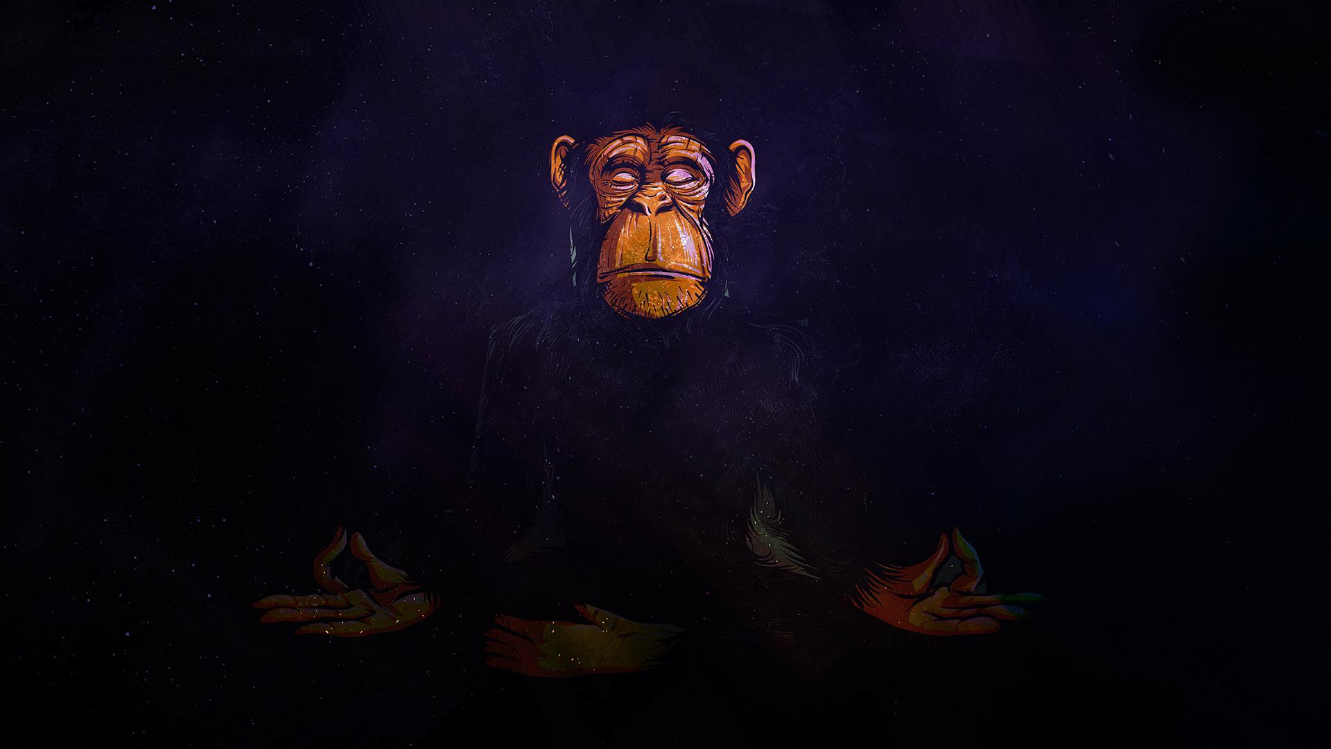 Space Monkey Wallpapers - Top Free Space Monkey Backgrounds ...