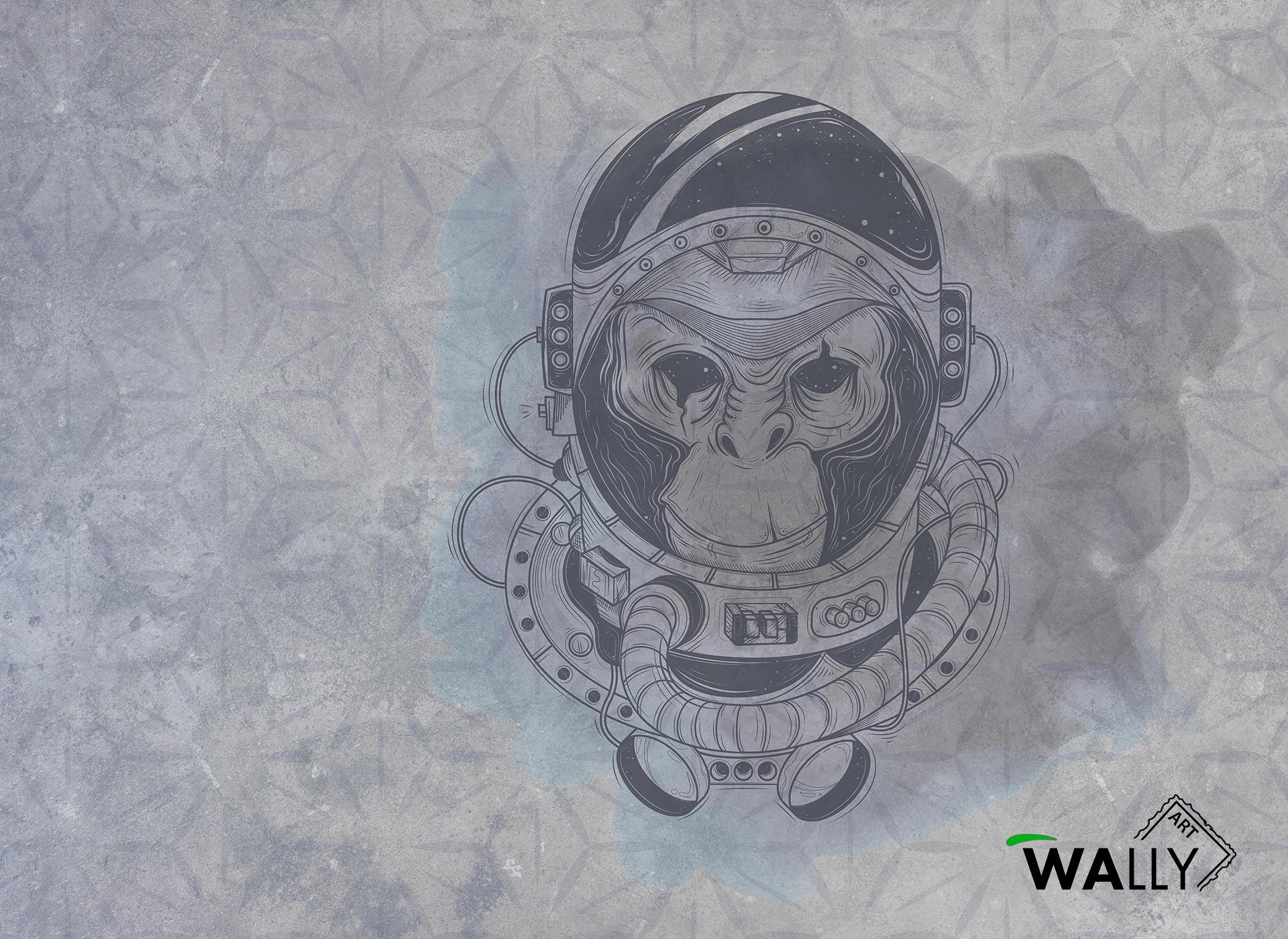 Space Monkey Wallpapers - Top Free Space Monkey Backgrounds ...