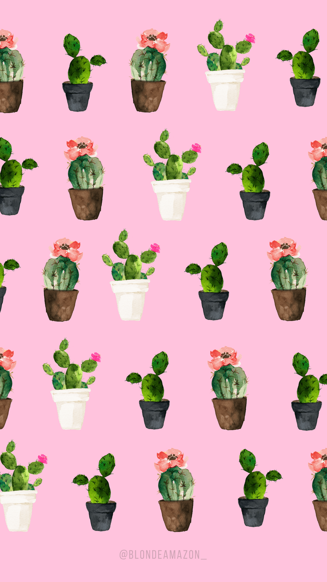 Pink Cactus Wallpapers - Top Free Pink Cactus Backgrounds - WallpaperAccess