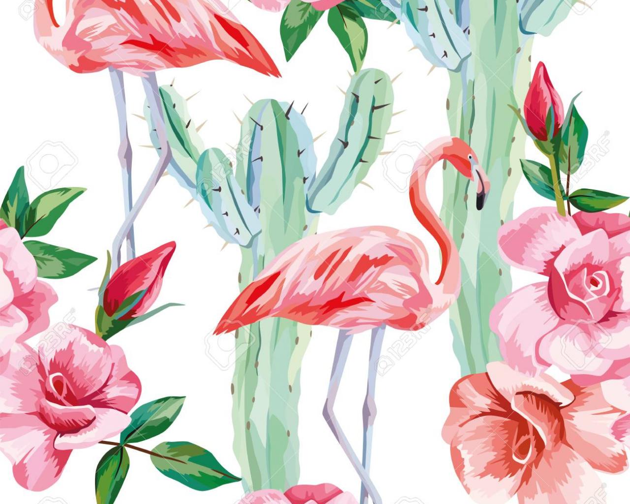 Pink Cactus Wallpapers - Top Free Pink Cactus Backgrounds - WallpaperAccess