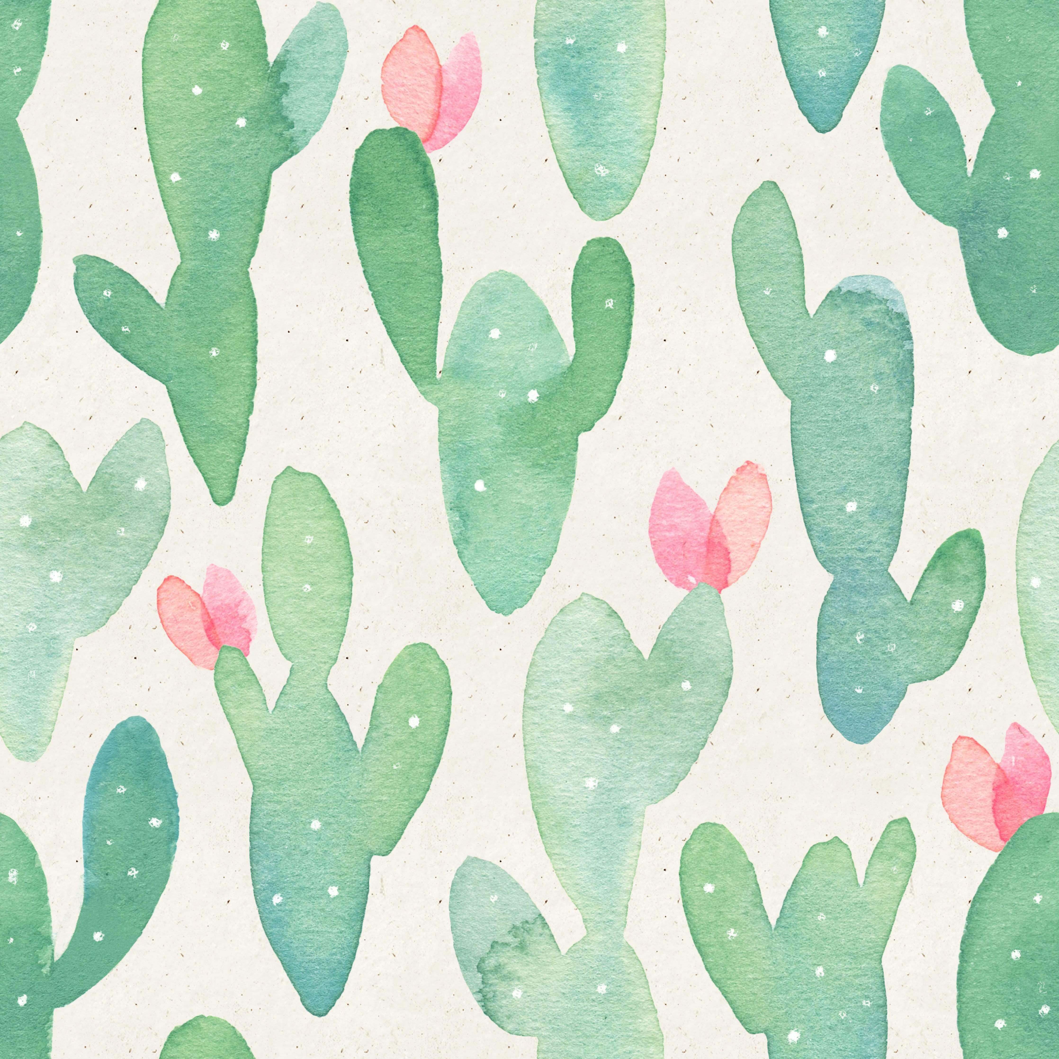 Green Cactus Wallpapers - Top Free Green Cactus Backgrounds ...