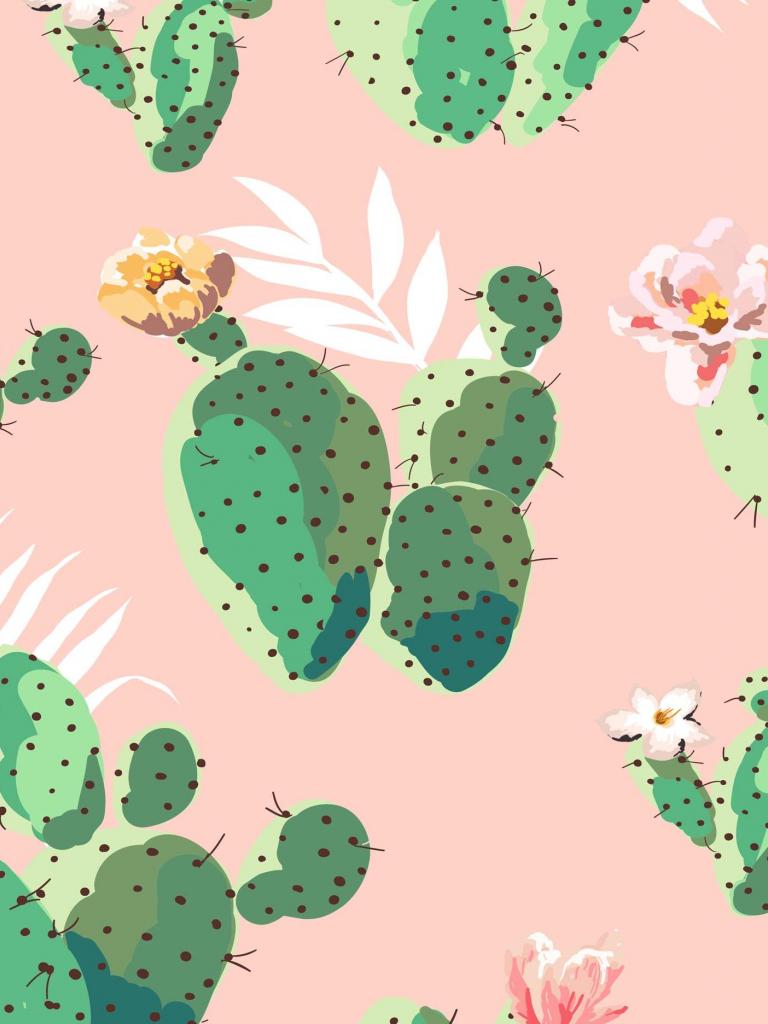Pink Cactus Wallpapers - Top Free Pink Cactus Backgrounds - WallpaperAccess