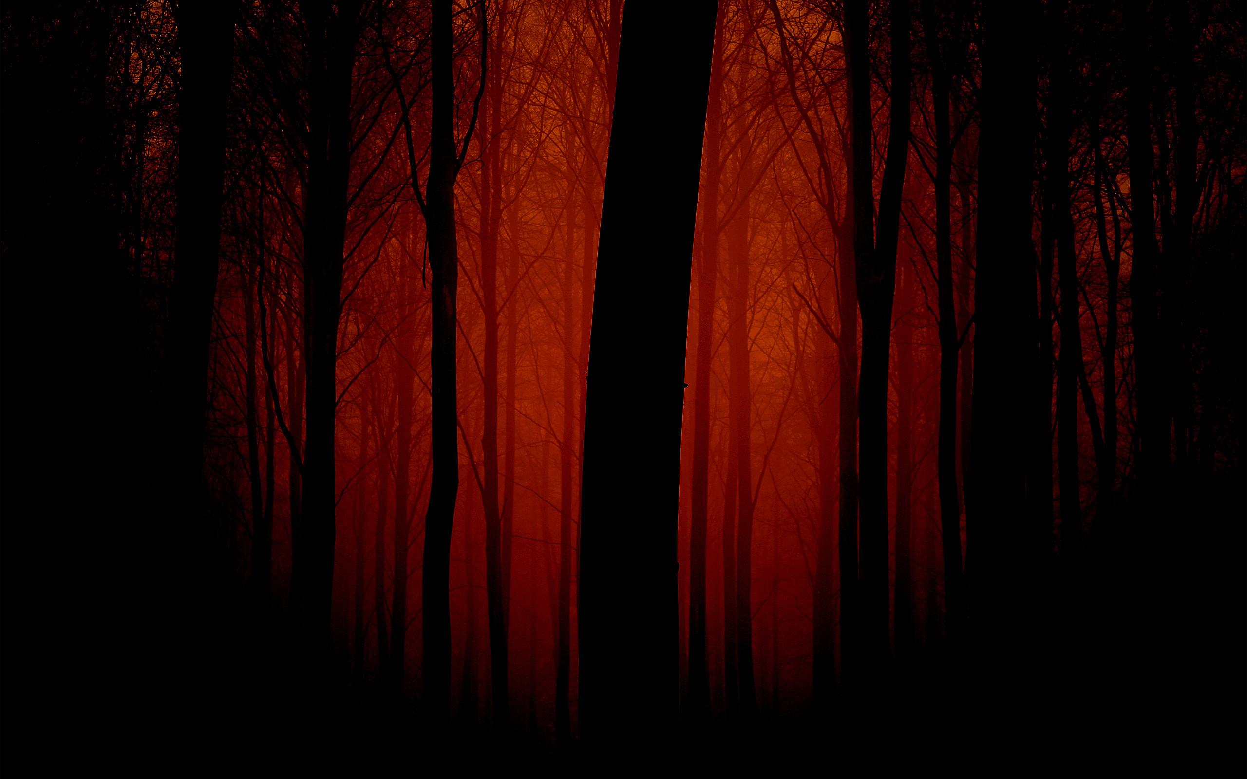 Creepy Tree Wallpapers - Top Free Creepy Tree Backgrounds - WallpaperAccess