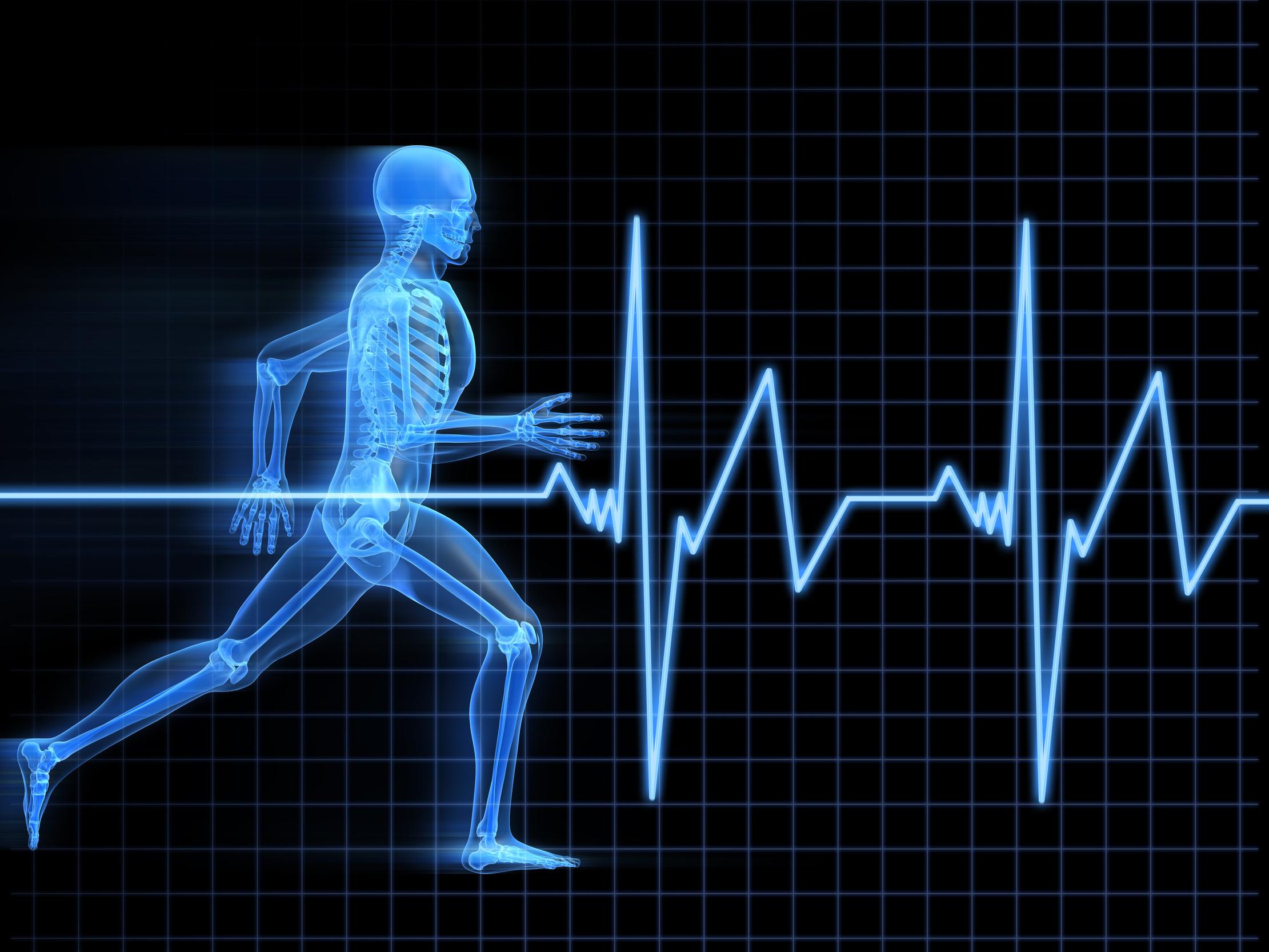 Kinesiology Wallpapers - Top Free Kinesiology Backgrounds - WallpaperAccess