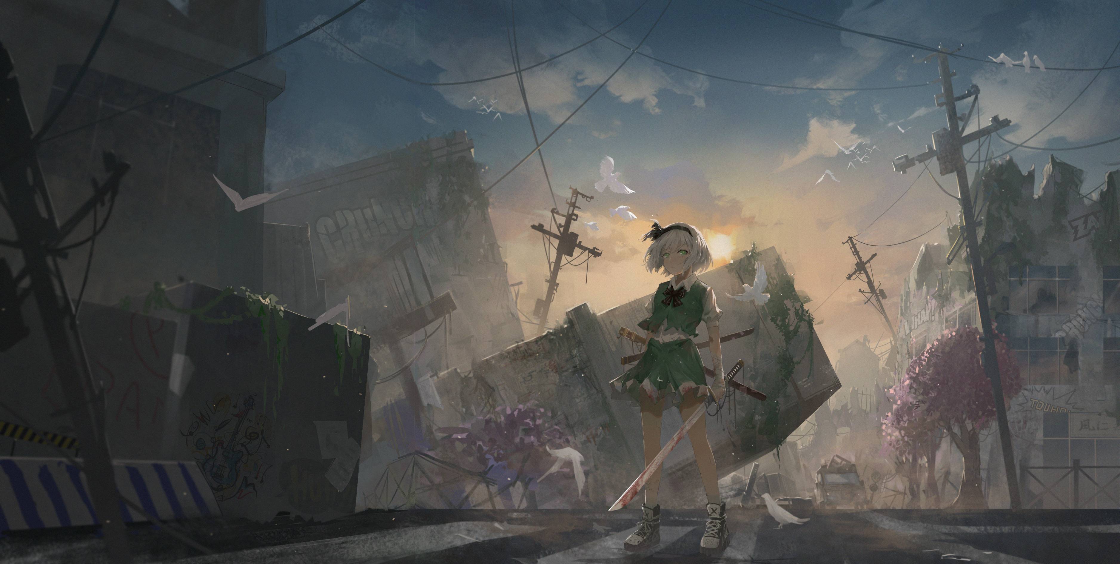 Youmu Konpaku Wallpapers - Top Free Youmu Konpaku Backgrounds ...