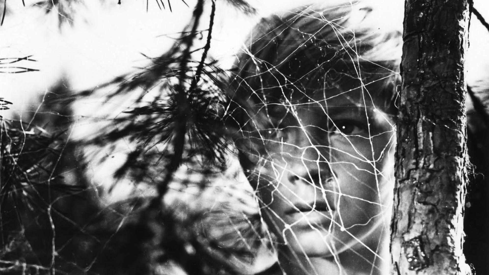 Andrei Tarkovsky Wallpapers - Top Free Andrei Tarkovsky Backgrounds ...