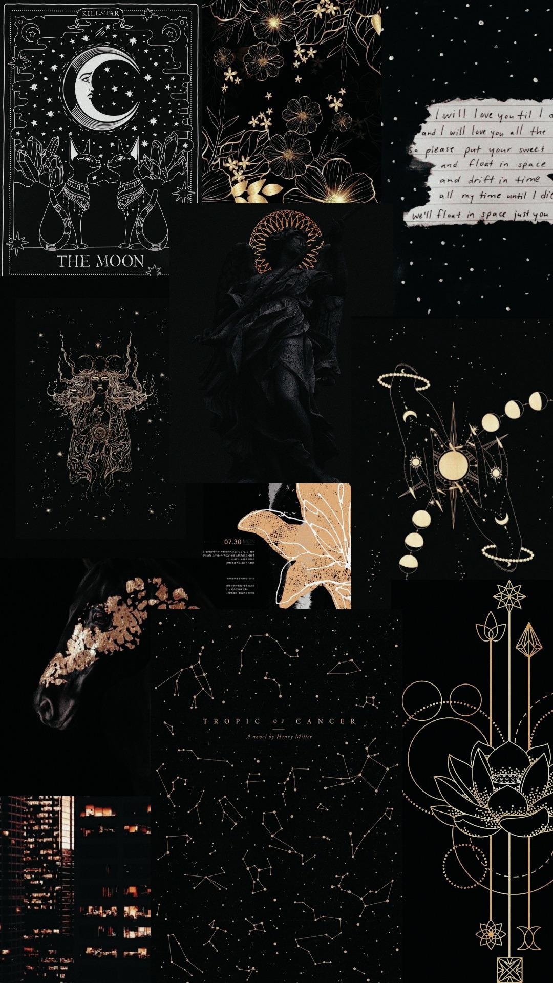 Acotar Wallpapers - Top Free Acotar Backgrounds - WallpaperAccess