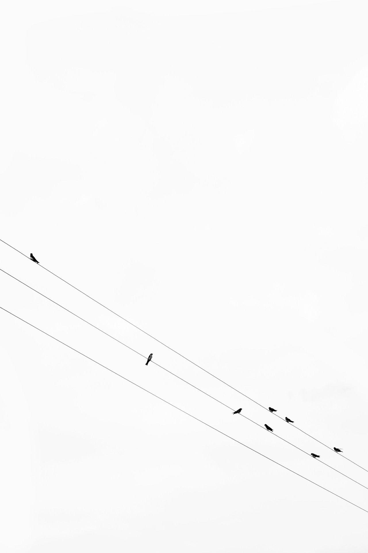 Minimal Vertical Wallpapers - Top Free Minimal Vertical Backgrounds ...