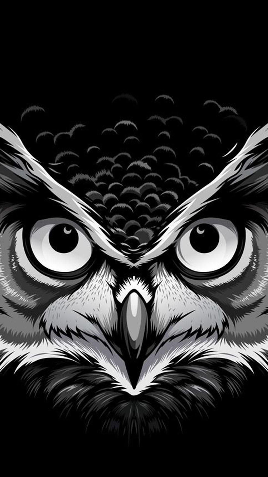 Burung Hantu Wallpapers - Top Free Burung Hantu Backgrounds ...