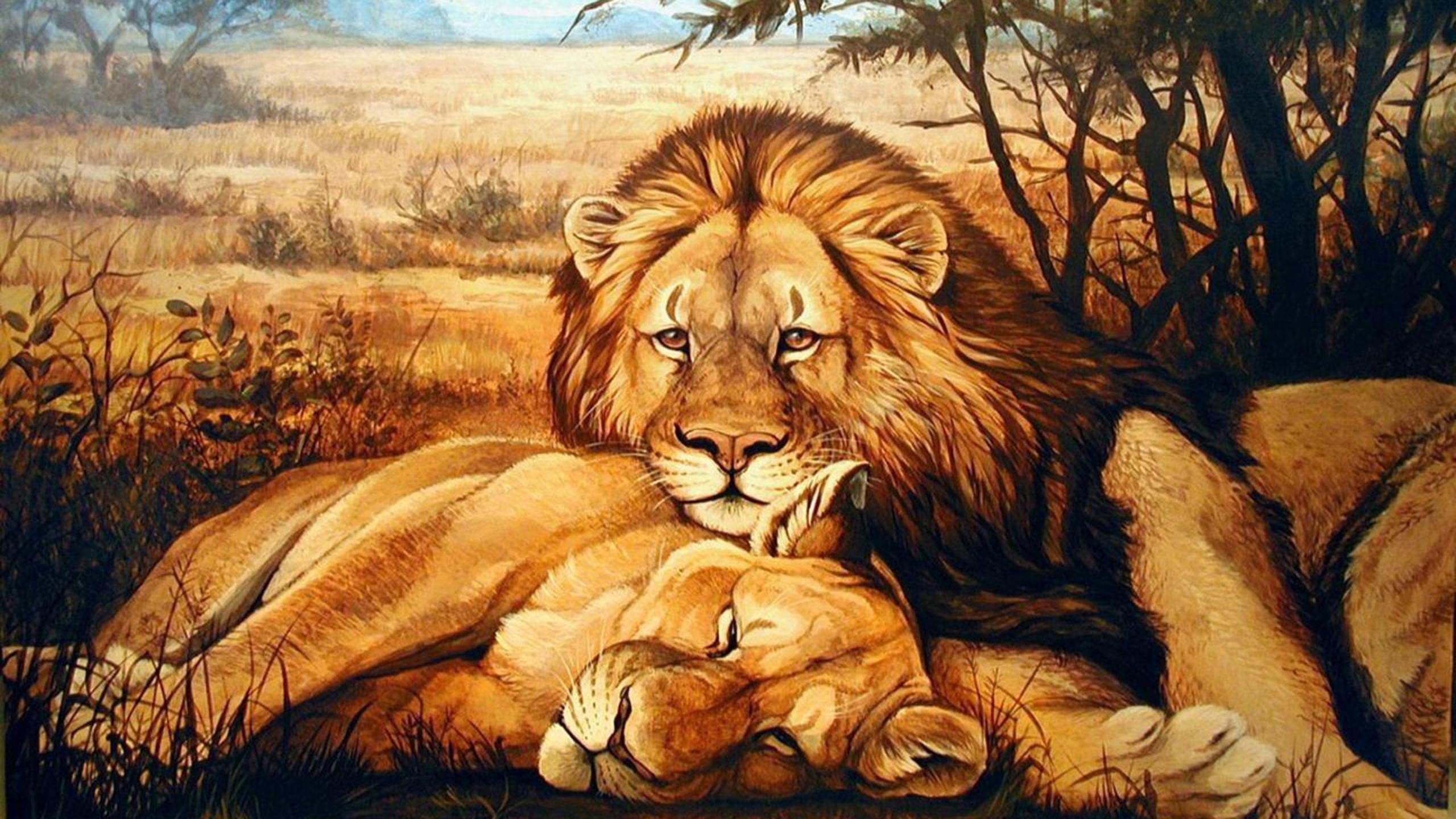 Lion Couple Wallpapers - Top Free Lion Couple Backgrounds - WallpaperAccess