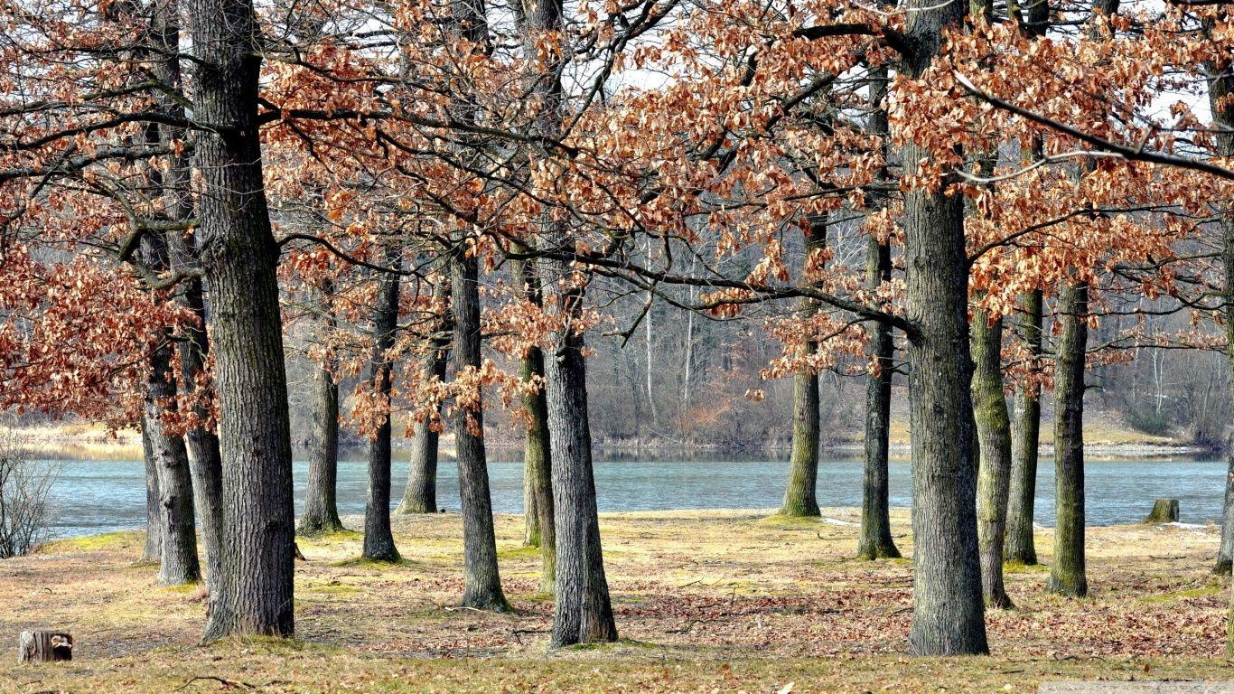 4K Outdoor Wallpapers - Top Free 4K Outdoor Backgrounds - WallpaperAccess