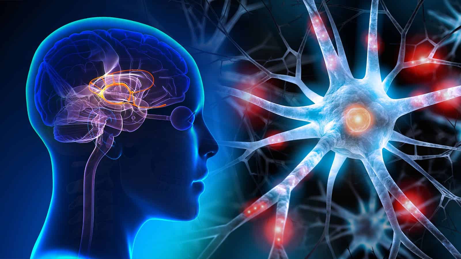 Brain Power Wallpapers - Top Free Brain Power Backgrounds - WallpaperAccess