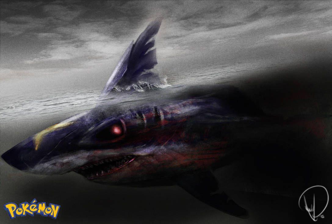 Sharpedo Wallpapers - Top Free Sharpedo Backgrounds - WallpaperAccess