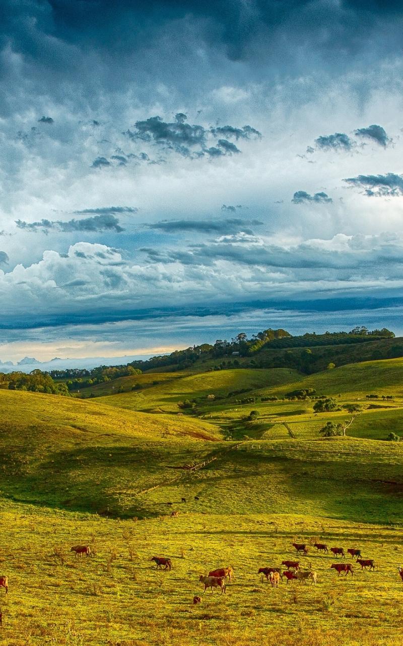 Byron Bay Wallpapers - Top Free Byron Bay Backgrounds - WallpaperAccess