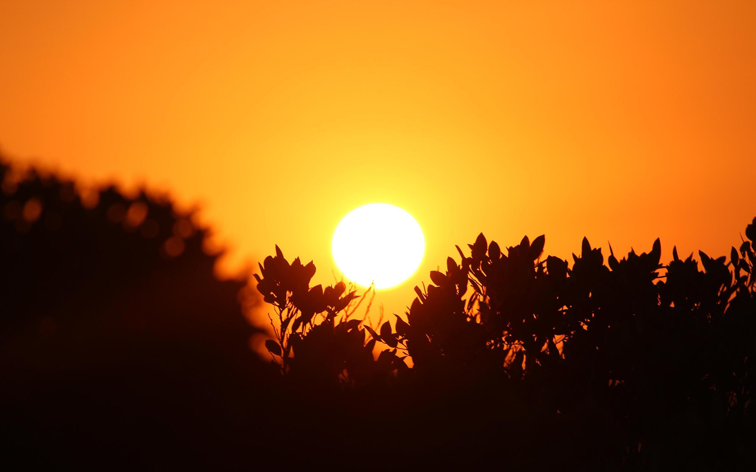 Byron Bay Wallpapers - Top Free Byron Bay Backgrounds - WallpaperAccess