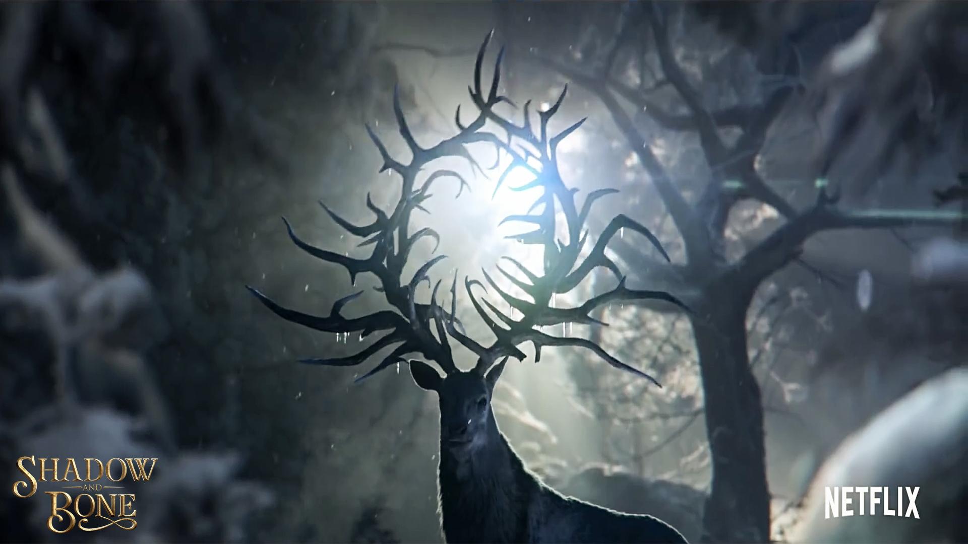 Shadow and Bone Wallpapers - Top Free Shadow and Bone Backgrounds ...