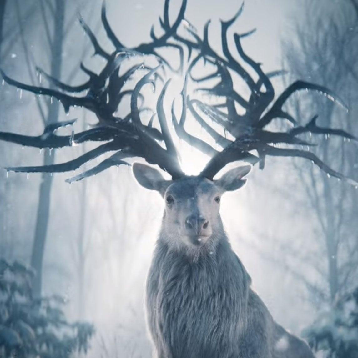 Shadow and Bone Wallpapers - Top Free Shadow and Bone Backgrounds ...