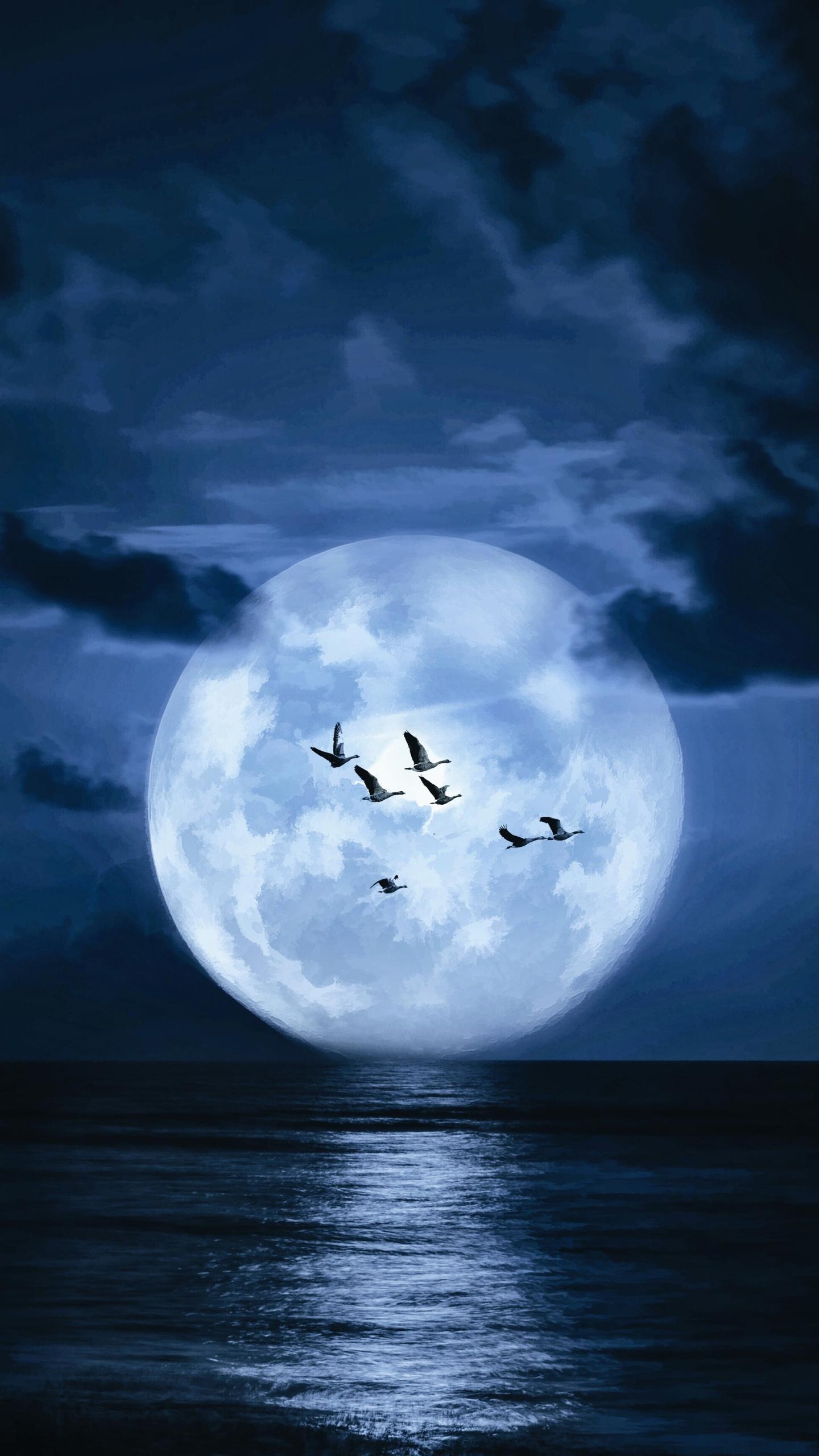 Moon Mobile Wallpapers - Top Free Moon Mobile Backgrounds - WallpaperAccess