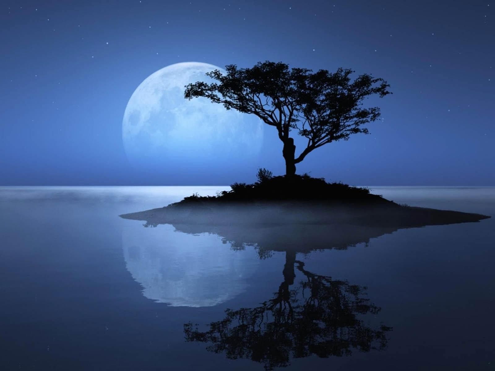 Fantasy Moon Wallpapers - Top Free Fantasy Moon Backgrounds ...
