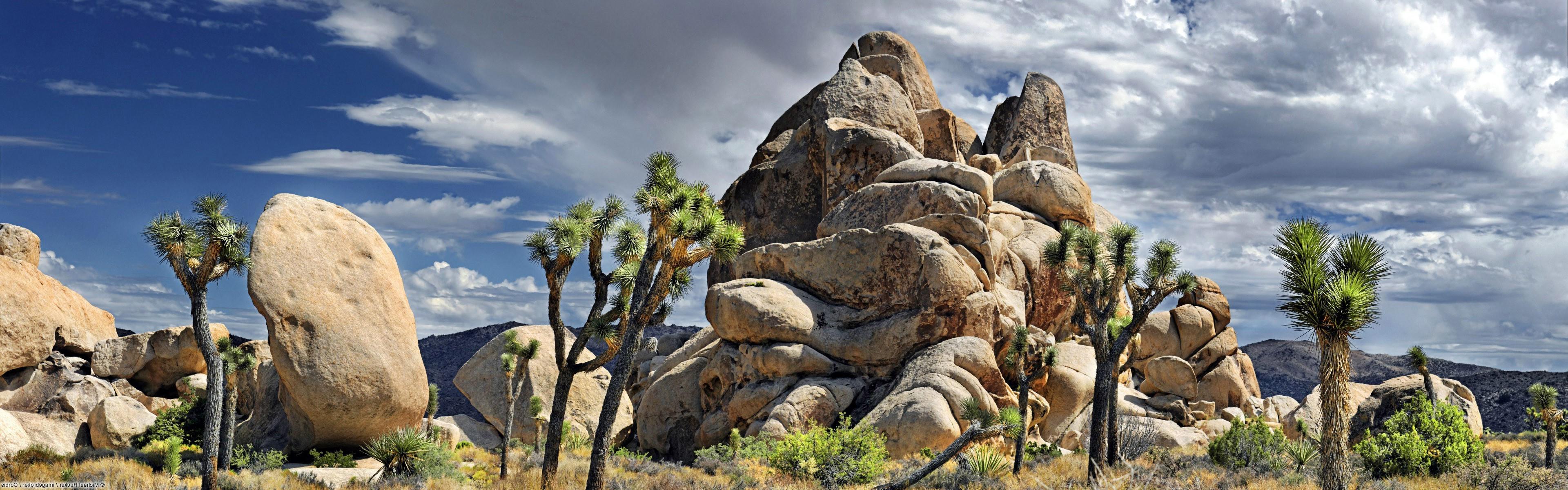 Joshua Tree National Park Wallpapers - Top Free Joshua Tree National ...