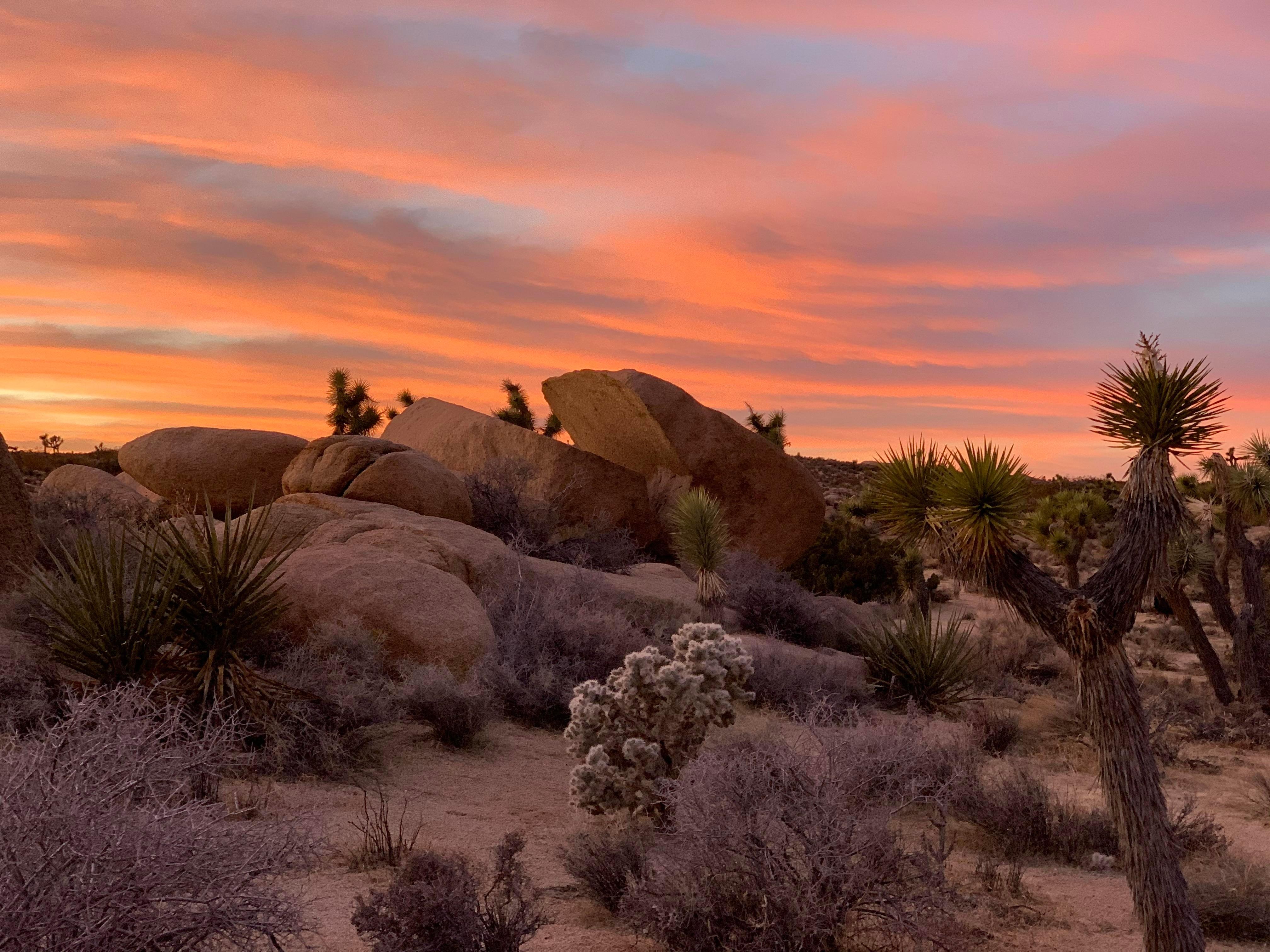 Joshua Tree National Park Wallpapers - Top Free Joshua Tree National ...