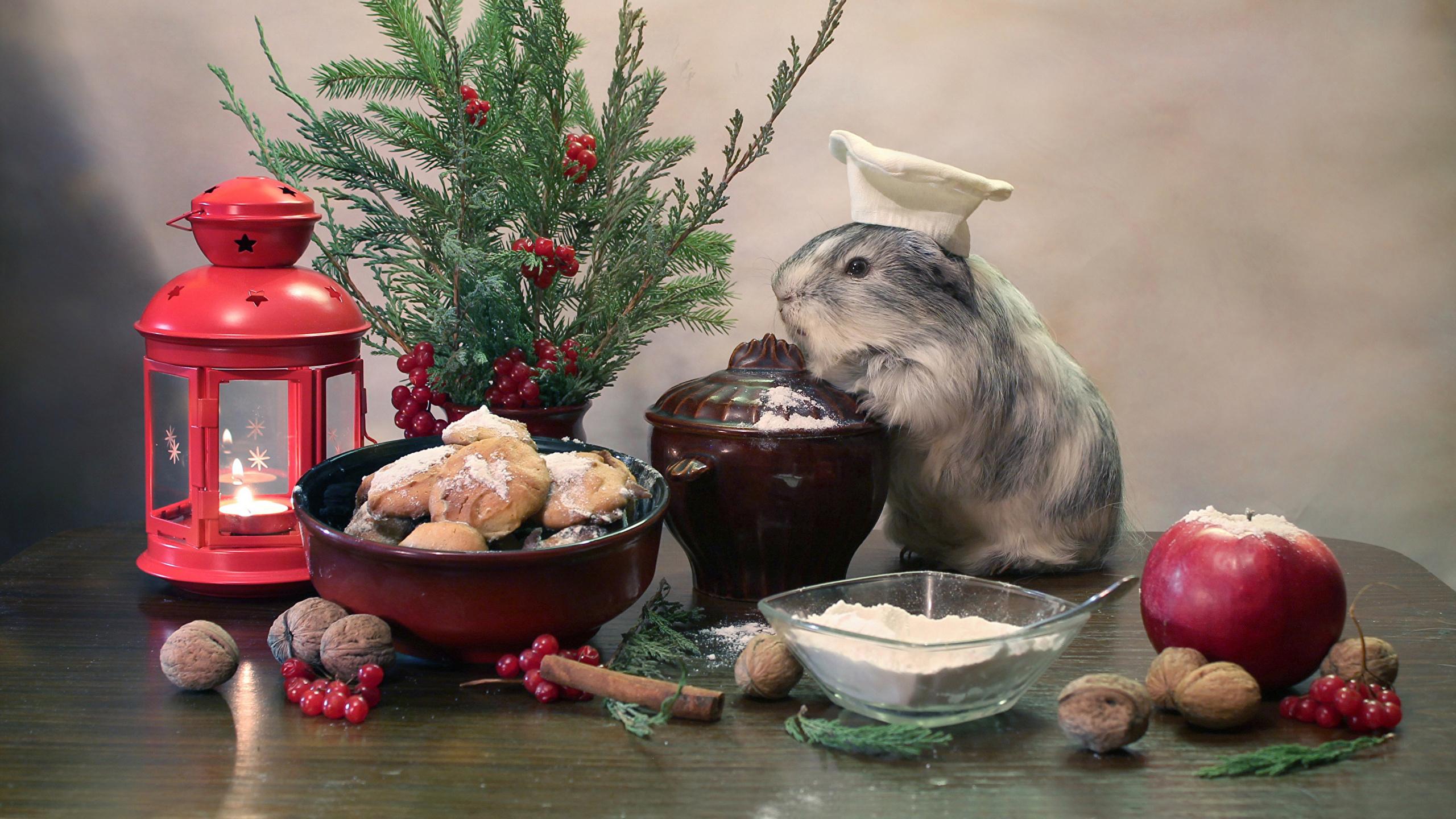 Christmas Pig Wallpapers - Top Free Christmas Pig Backgrounds ...