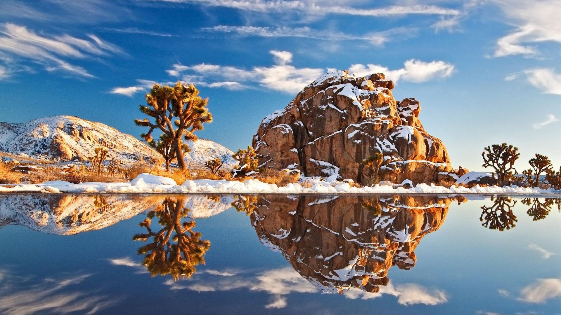 Joshua Tree National Park Wallpapers - Top Free Joshua Tree National ...
