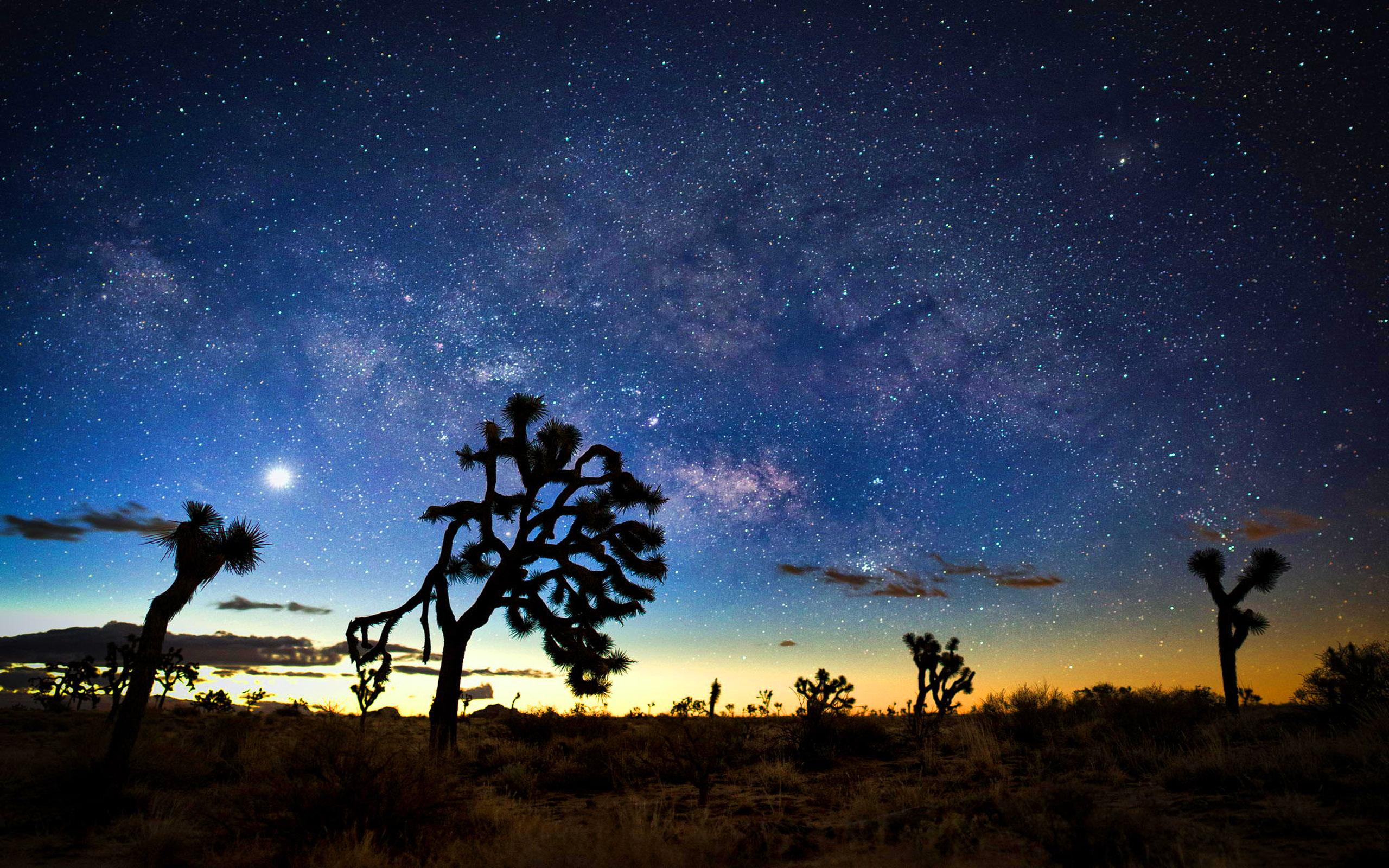 Joshua Tree National Park Wallpapers - Top Free Joshua Tree National ...