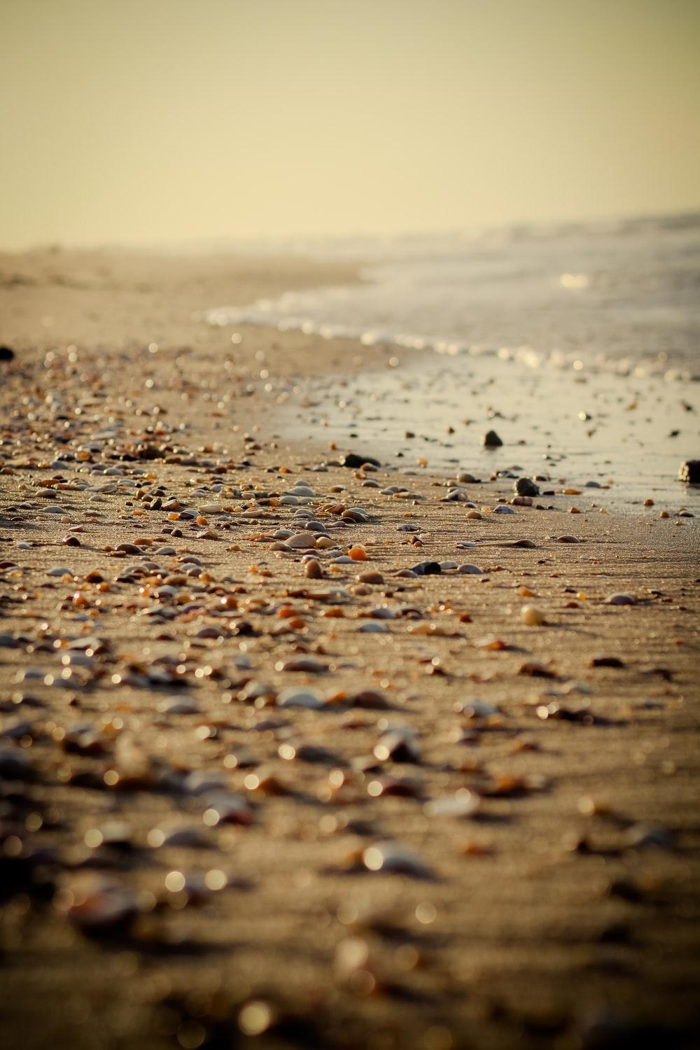 Seashore HD Wallpapers - Top Free Seashore HD Backgrounds - WallpaperAccess