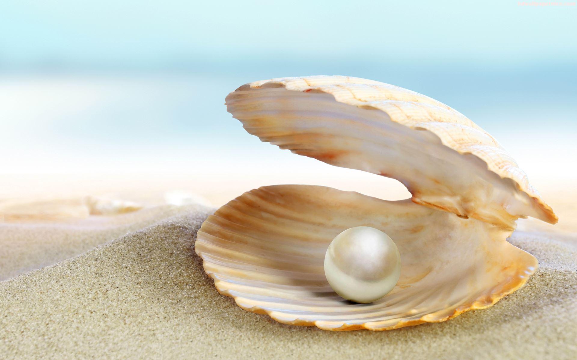 Seashore HD Wallpapers - Top Free Seashore HD Backgrounds - WallpaperAccess