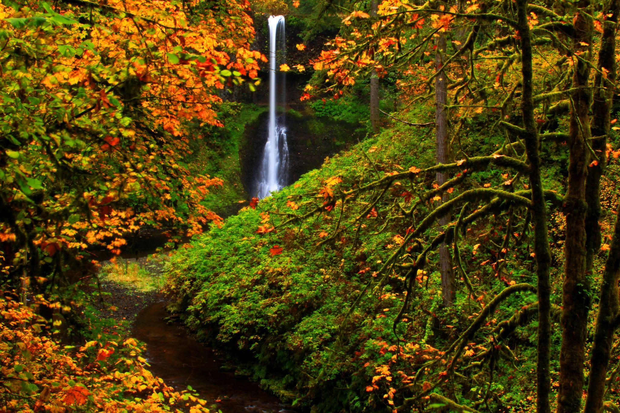 Oregon Autumn Wallpapers - Top Free Oregon Autumn Backgrounds ...